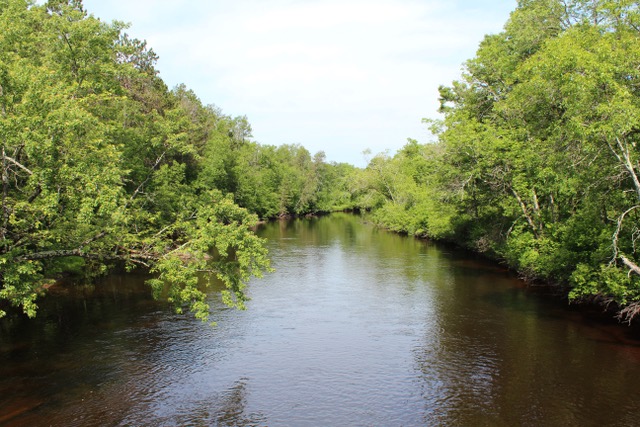 RIVERFRONT LOT ON THE TOTOGATIC RIVER – CHICOG, WI