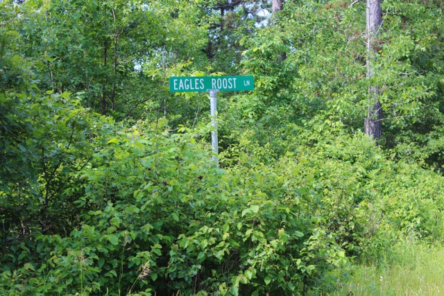 RIVERFRONT LOT ON THE TOTOGATIC RIVER – CHICOG, WI