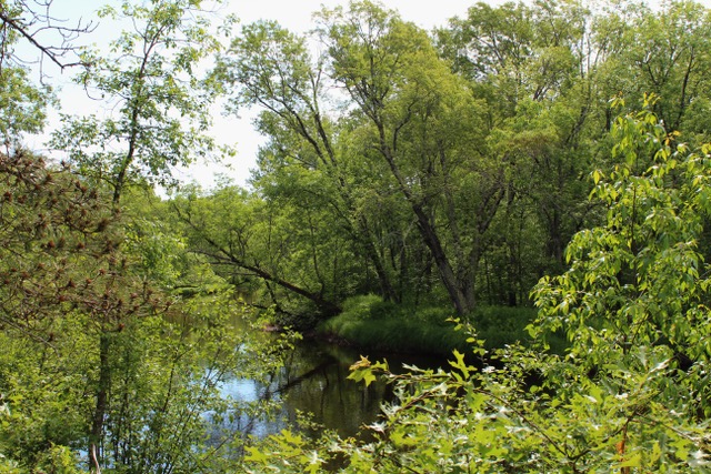 RIVERFRONT LOT ON THE TOTOGATIC RIVER – CHICOG, WI