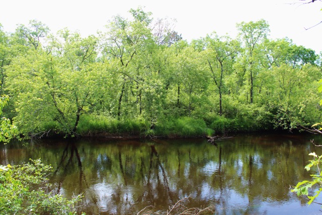 RIVERFRONT LOT ON THE TOTOGATIC RIVER – CHICOG, WI