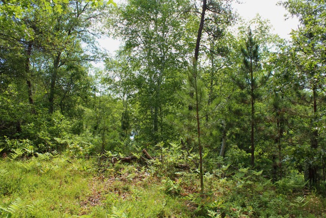 RIVERFRONT LOT ON THE TOTOGATIC RIVER – CHICOG, WI