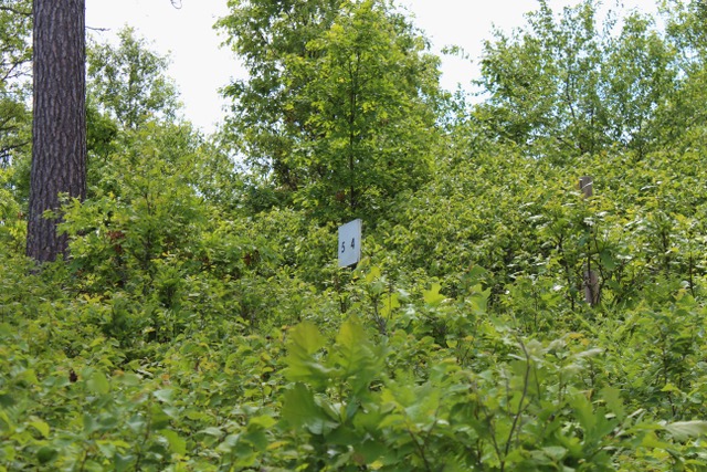 RIVERFRONT LOT ON THE TOTOGATIC RIVER – CHICOG, WI
